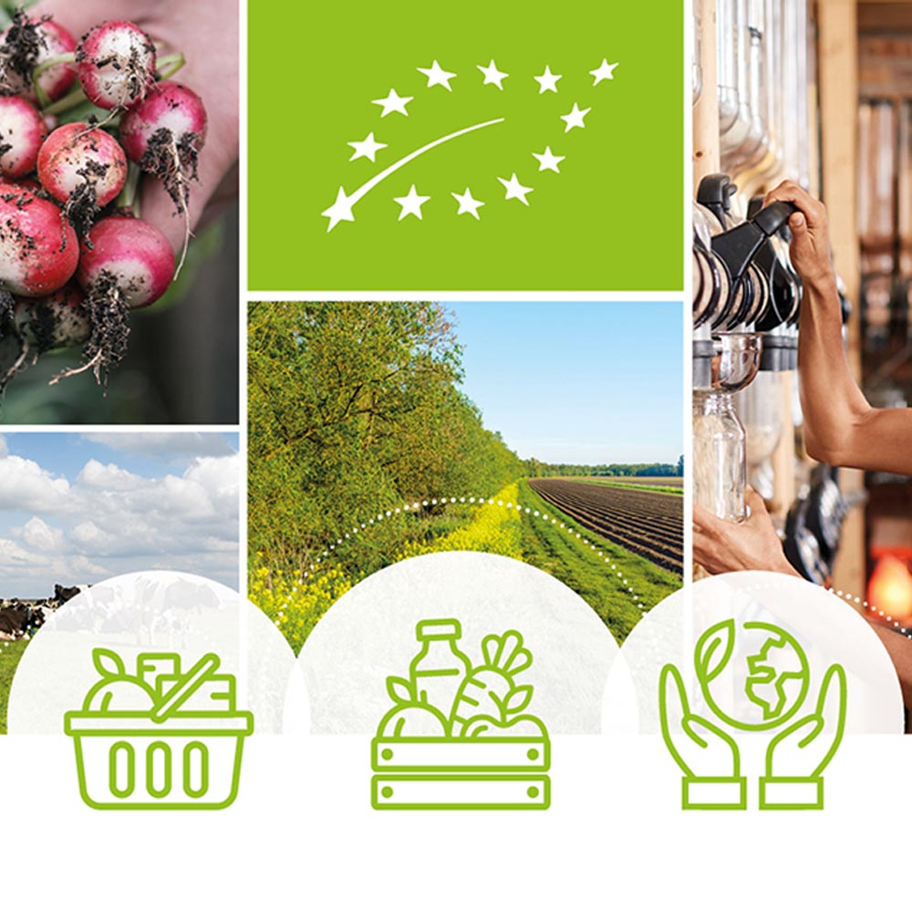 EU Organic Awards 2024 | European Committee of the Regions