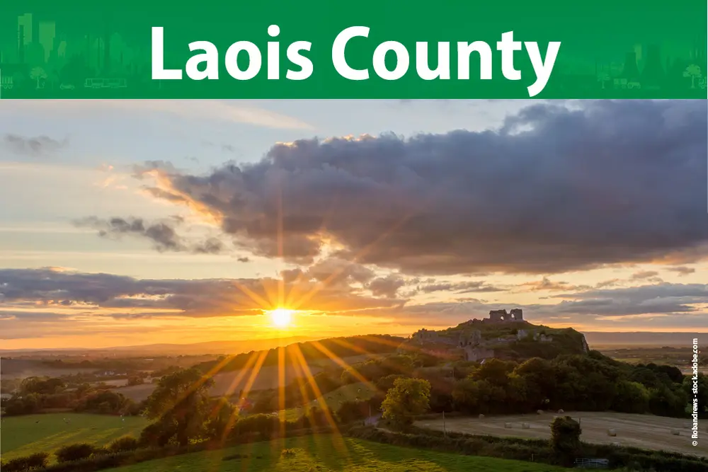 Community-based initiatives supported by Laois County Council ...