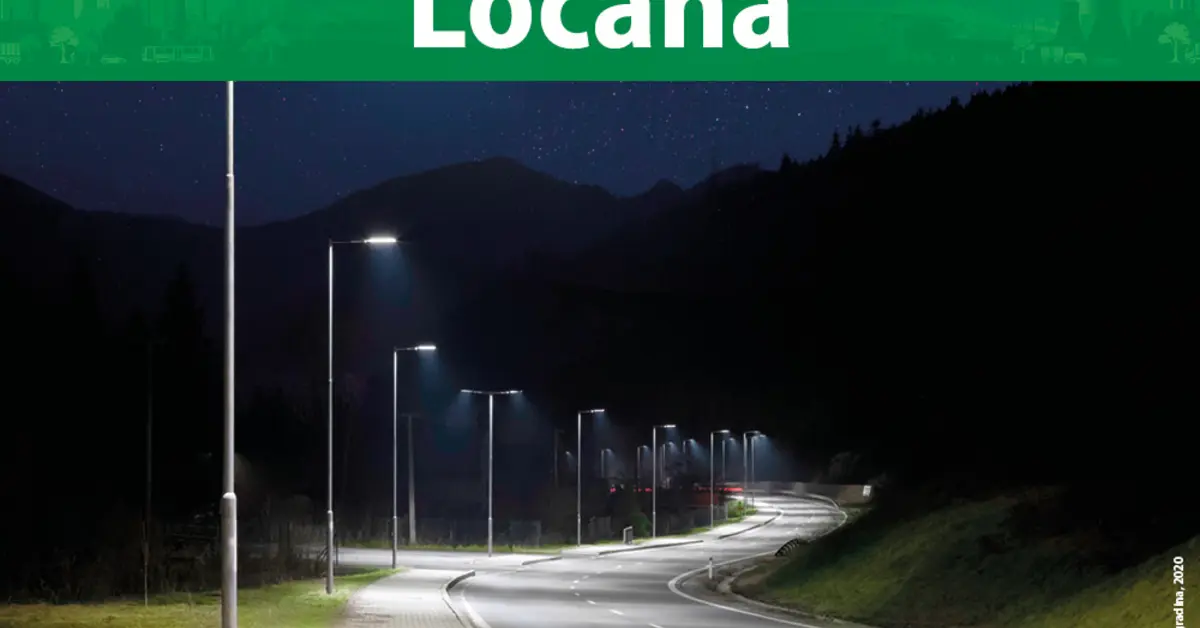 Replacement of public lighting by energy-saving lighting fixtures ...